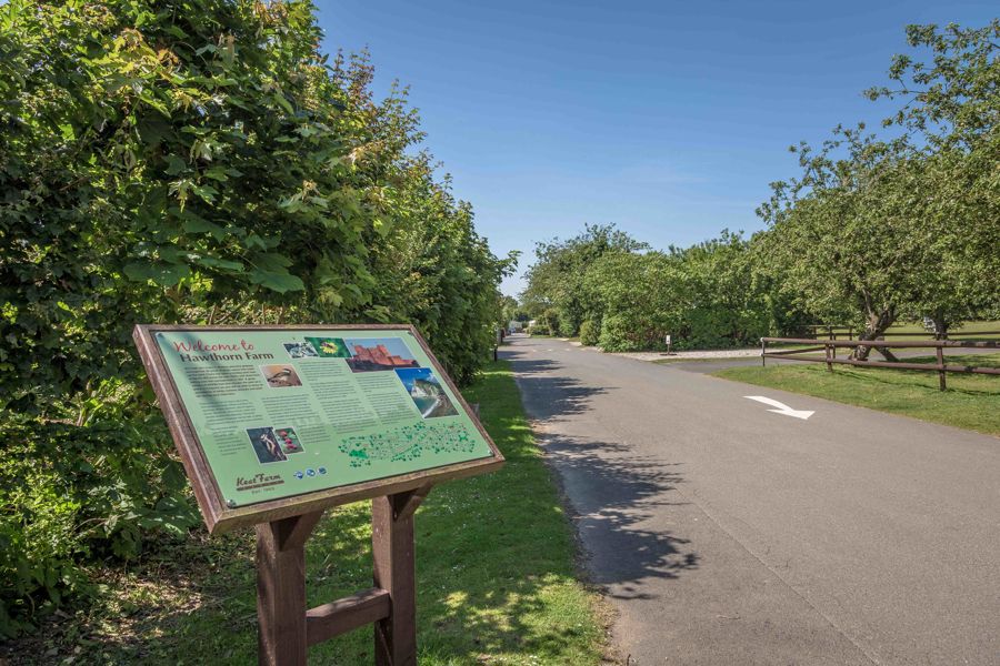 Hawthorn Farm - White Cliffs Country