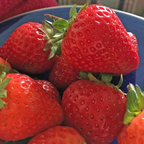 White Cliffs Country - What To Do In Deal, Dover & Sandwich