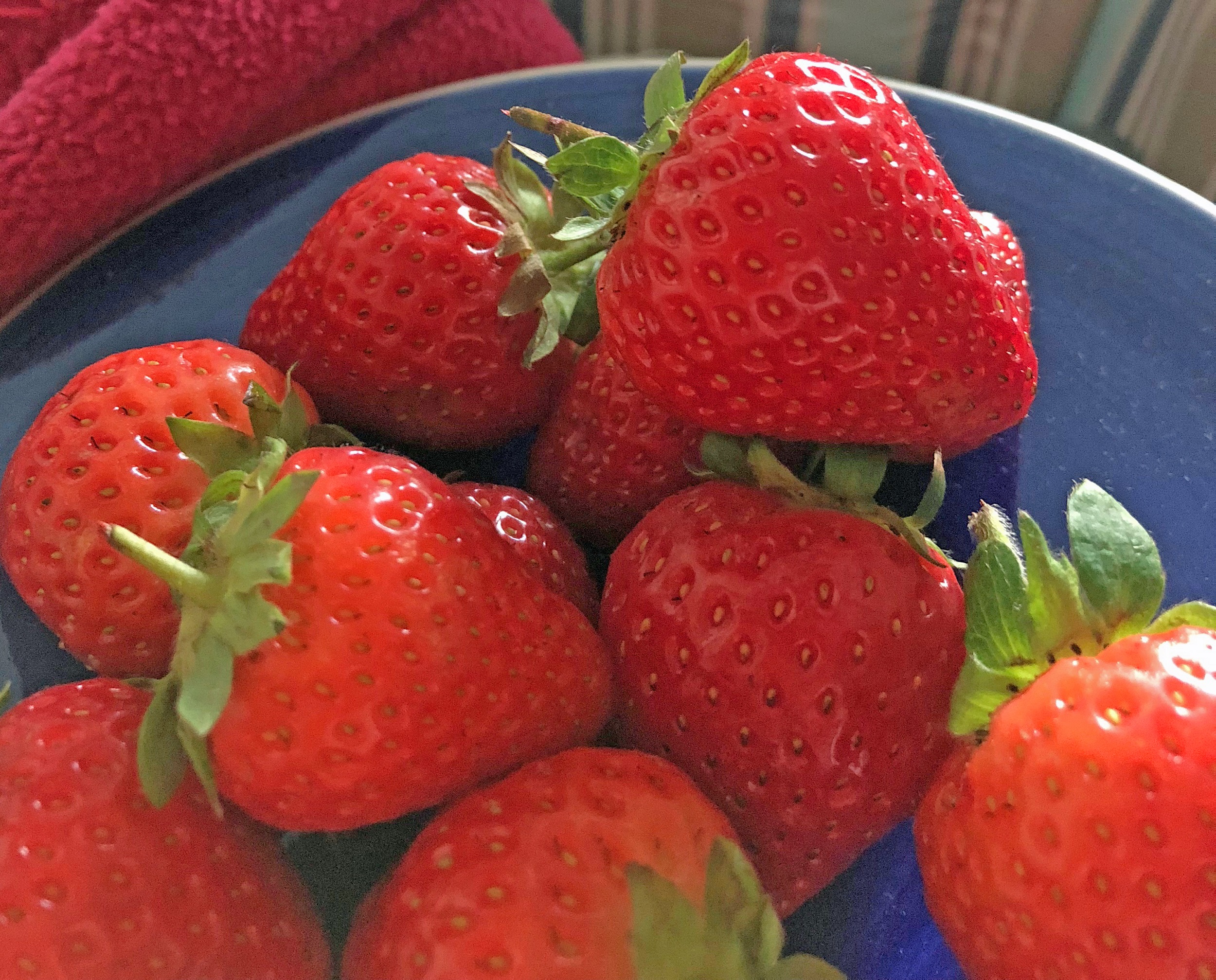 White Cliffs Country - What To Do In Deal, Dover & Sandwich