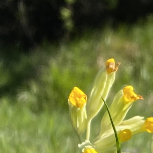 Explore White Cliffs Country on Kent's Heritage Coast