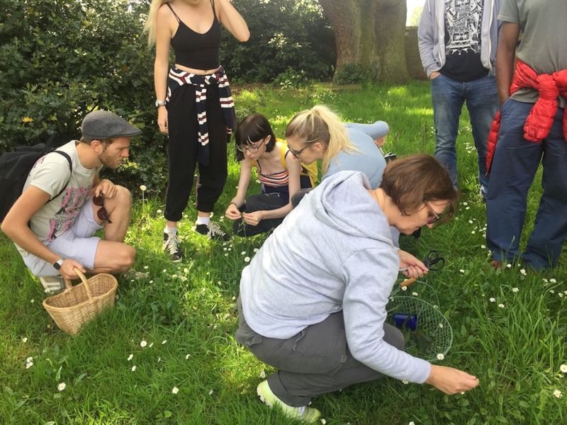 Foraging with The Wild Kitchen - White Cliffs Country